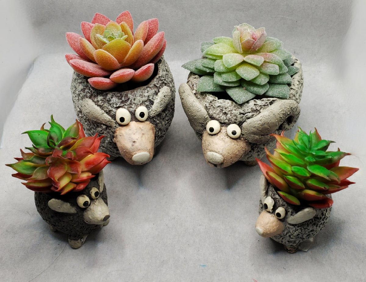 The Ramsey's Planters by Blob House™ – Toxie's Treasures