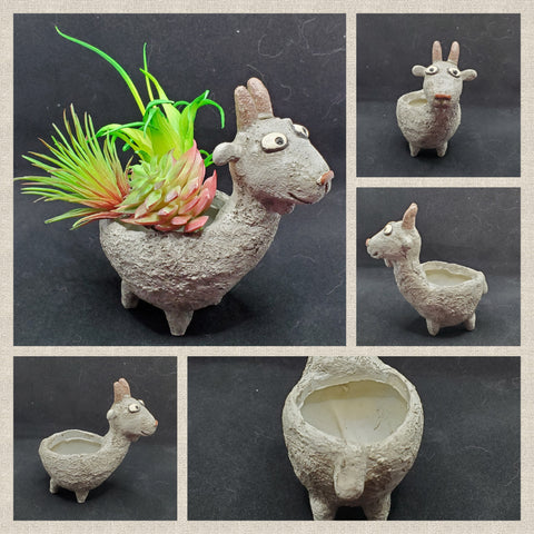 Blob House™ – Toxie's Treasures